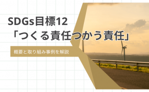 SDGs目標12「つくる責任つかう責任」の概要と取り組み事例を解説 - BranLab