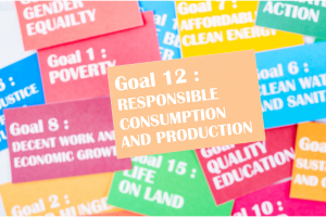SDGs目標12「つくる責任つかう責任」の概要と取り組み事例を解説 - BranLab